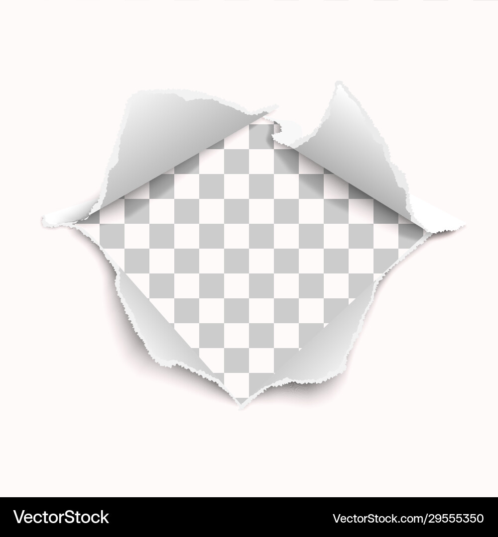 Snatched middle white paper with torn edges Vector Image