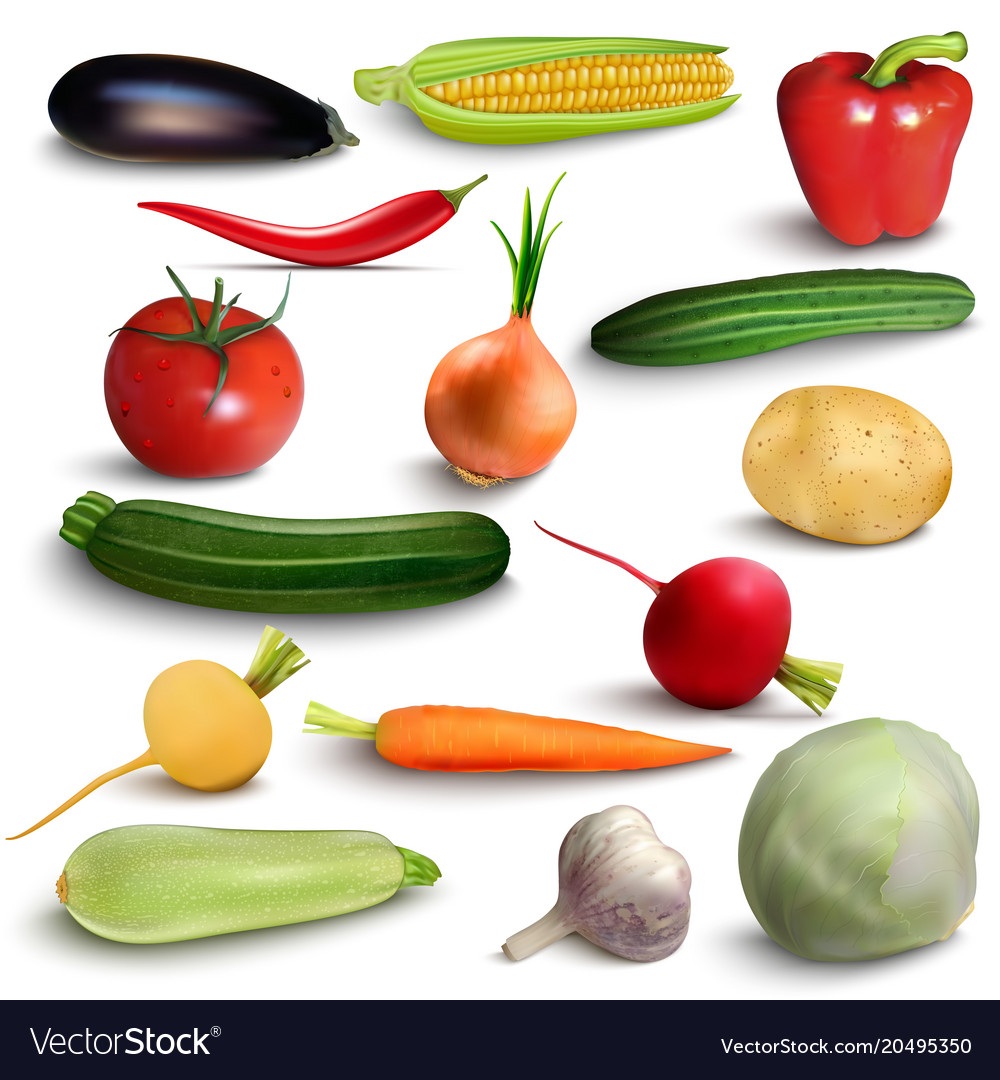 Vegetables or veggies farmer harvest exotic Vector Image