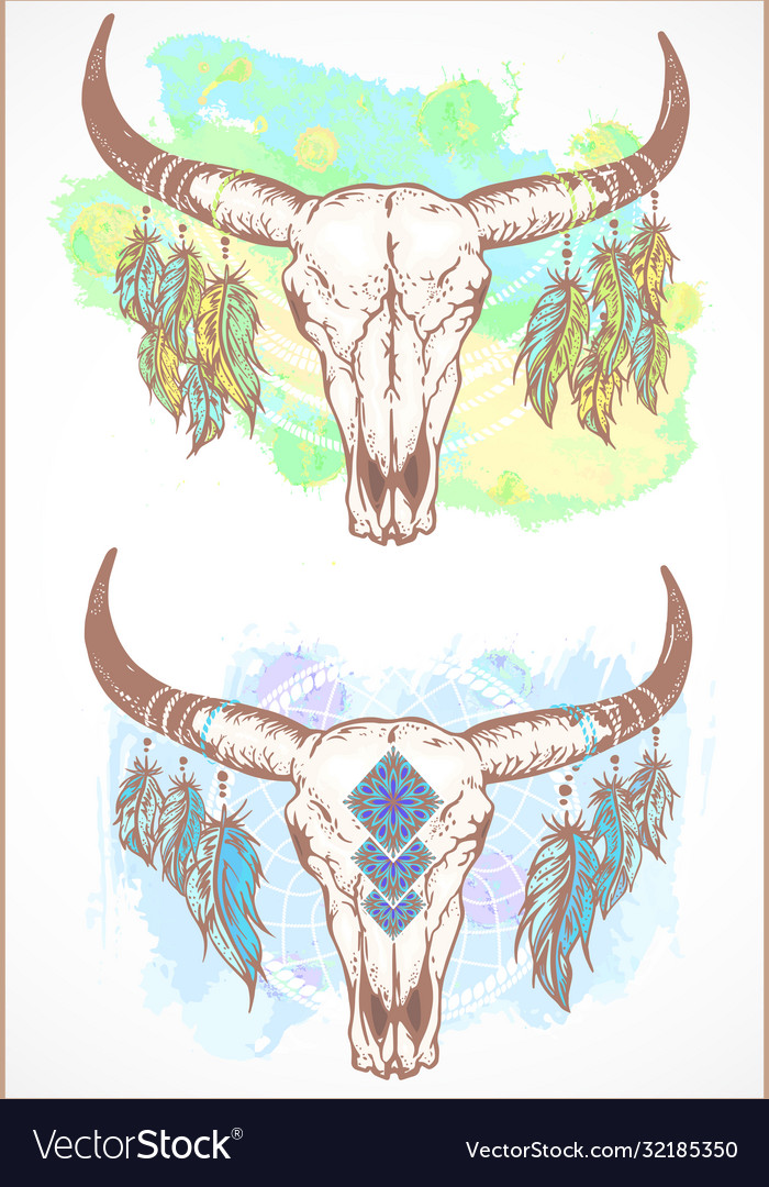 With A Wild Buffalo Skulls And Feathers Royalty Free Vector