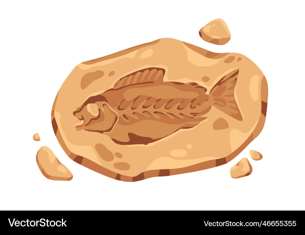 Ancient fish silhouette imprint on fossil stone Vector Image