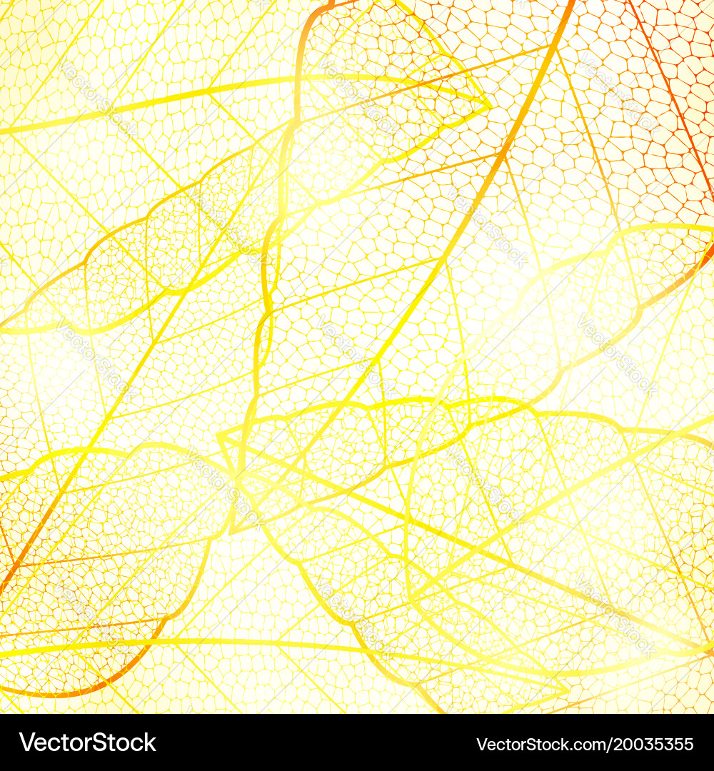 Bright orange golden abstract autumn leaf Vector Image
