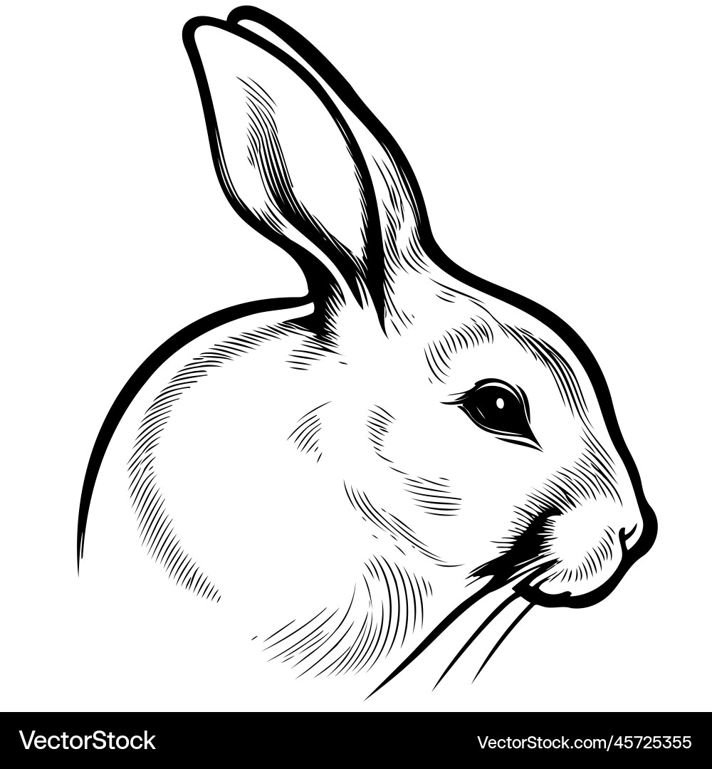 Bunny rabbit mammal animal head Royalty Free Vector Image