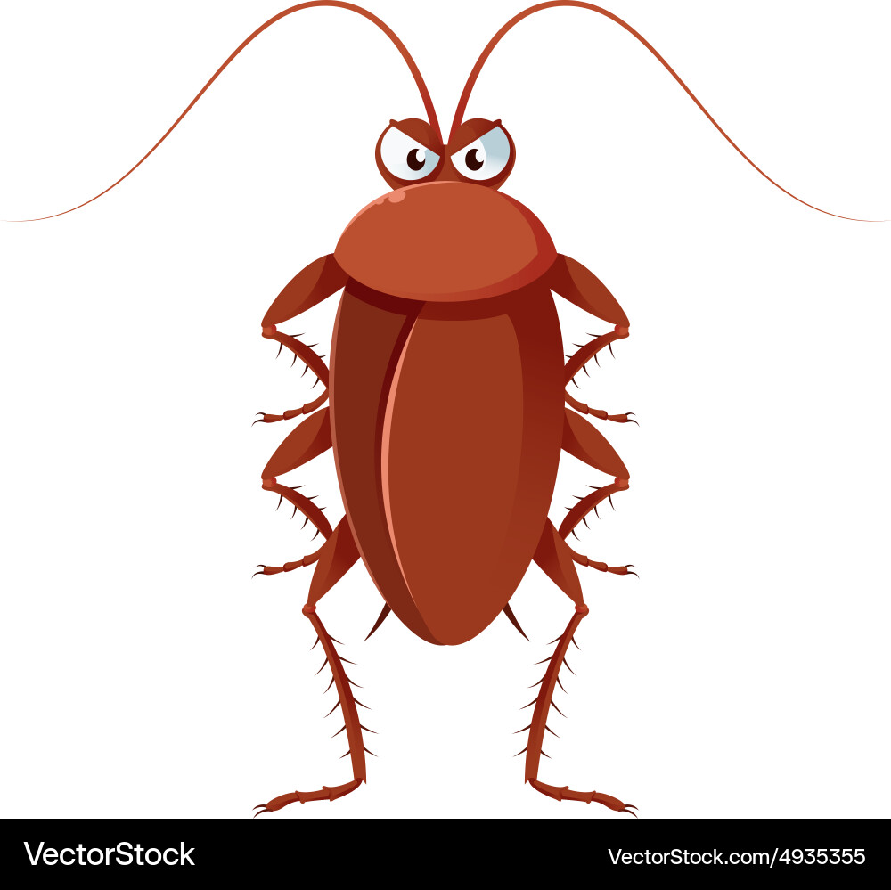 Cockroach Royalty Free Vector Image - VectorStock
