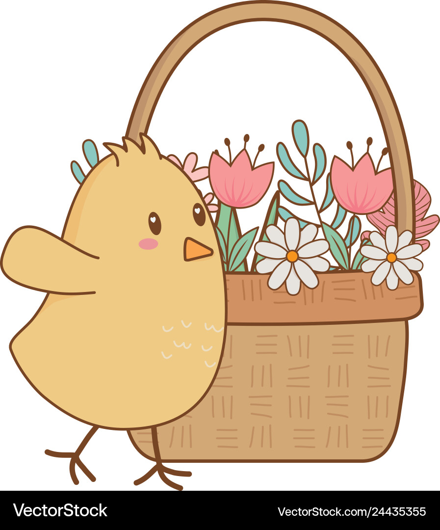 Little chick with flowers in basket easter Vector Image