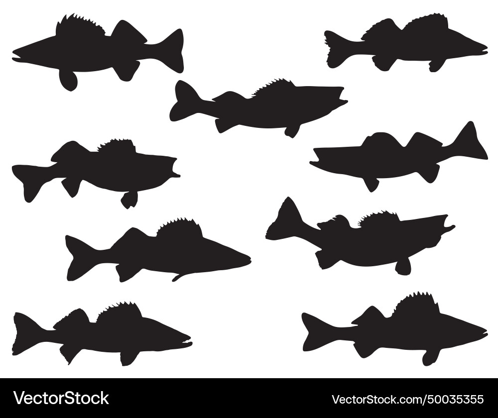 Walleye fishes silhouette art Royalty Free Vector Image