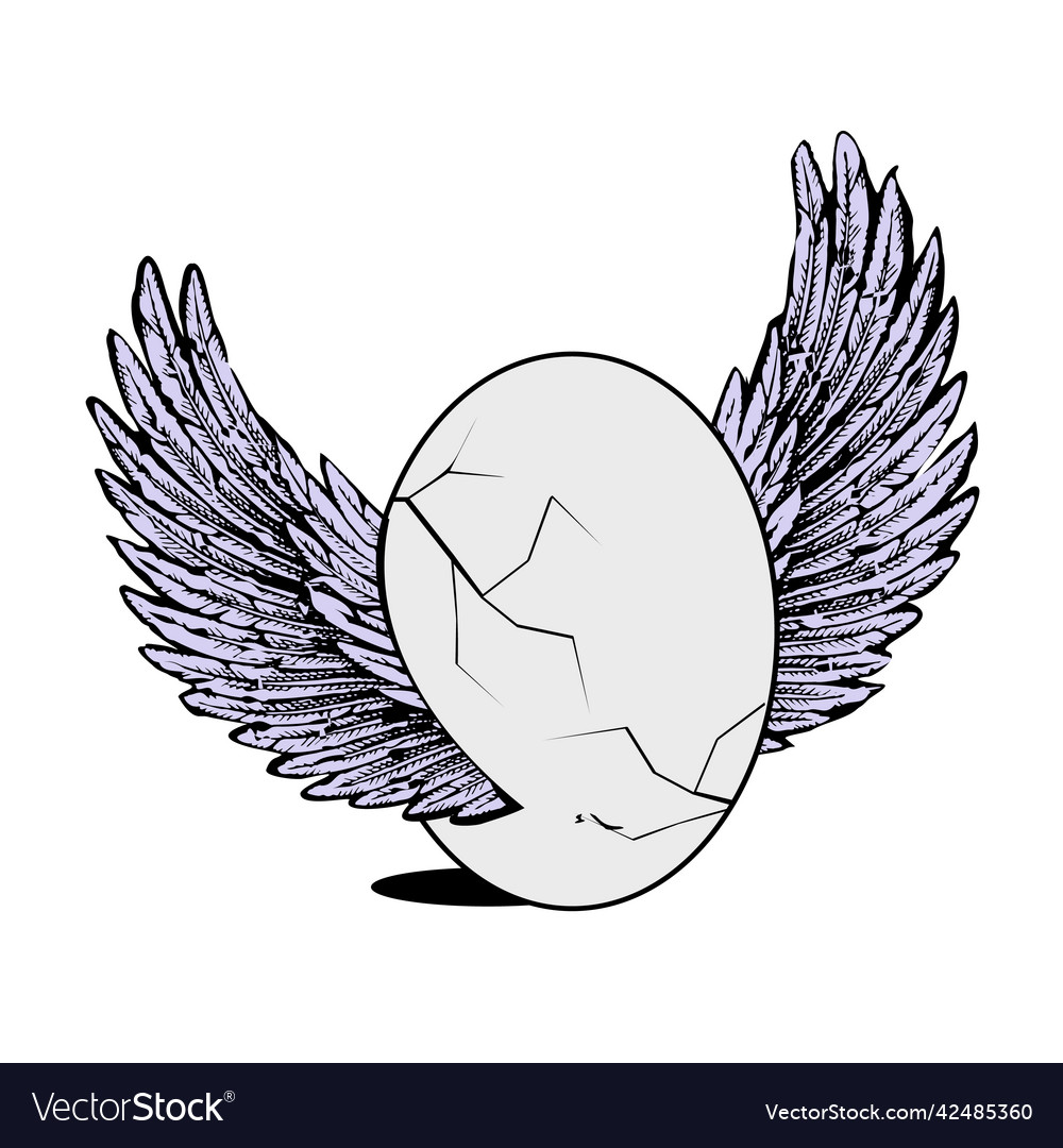 Egg breaking Royalty Free Vector Image - VectorStock