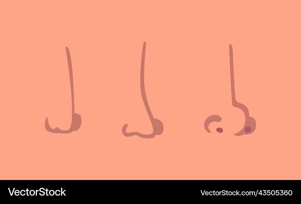 Human nose stroke curve for face design Royalty Free Vector