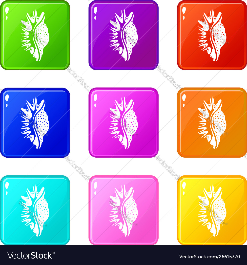 Exotic shell icons set 9 color collection Vector Image