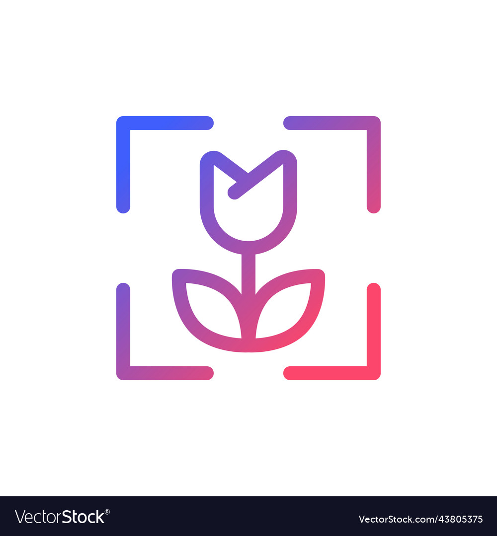 Macro Photo Mode Pixel Perfect Gradient Linear Ui Vector Image