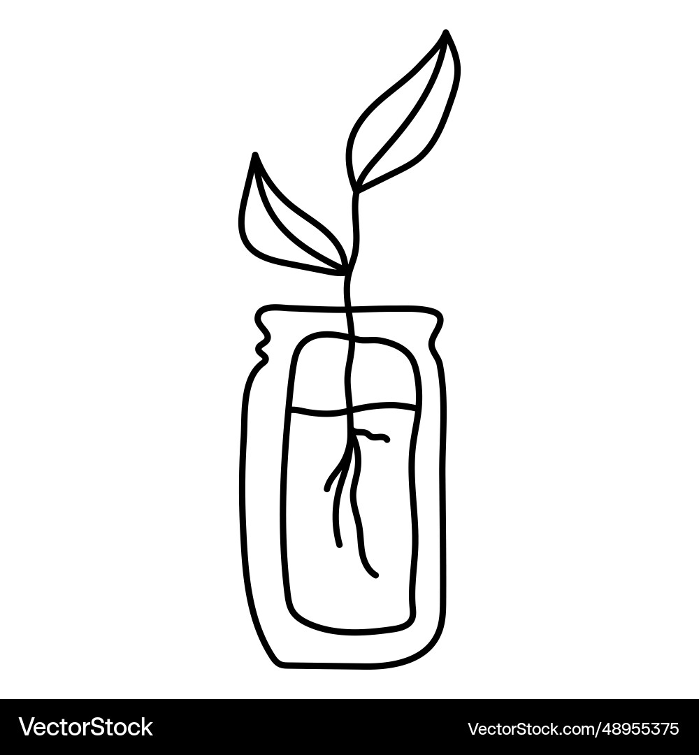 Plant with roots on water drawn Royalty Free Vector Image