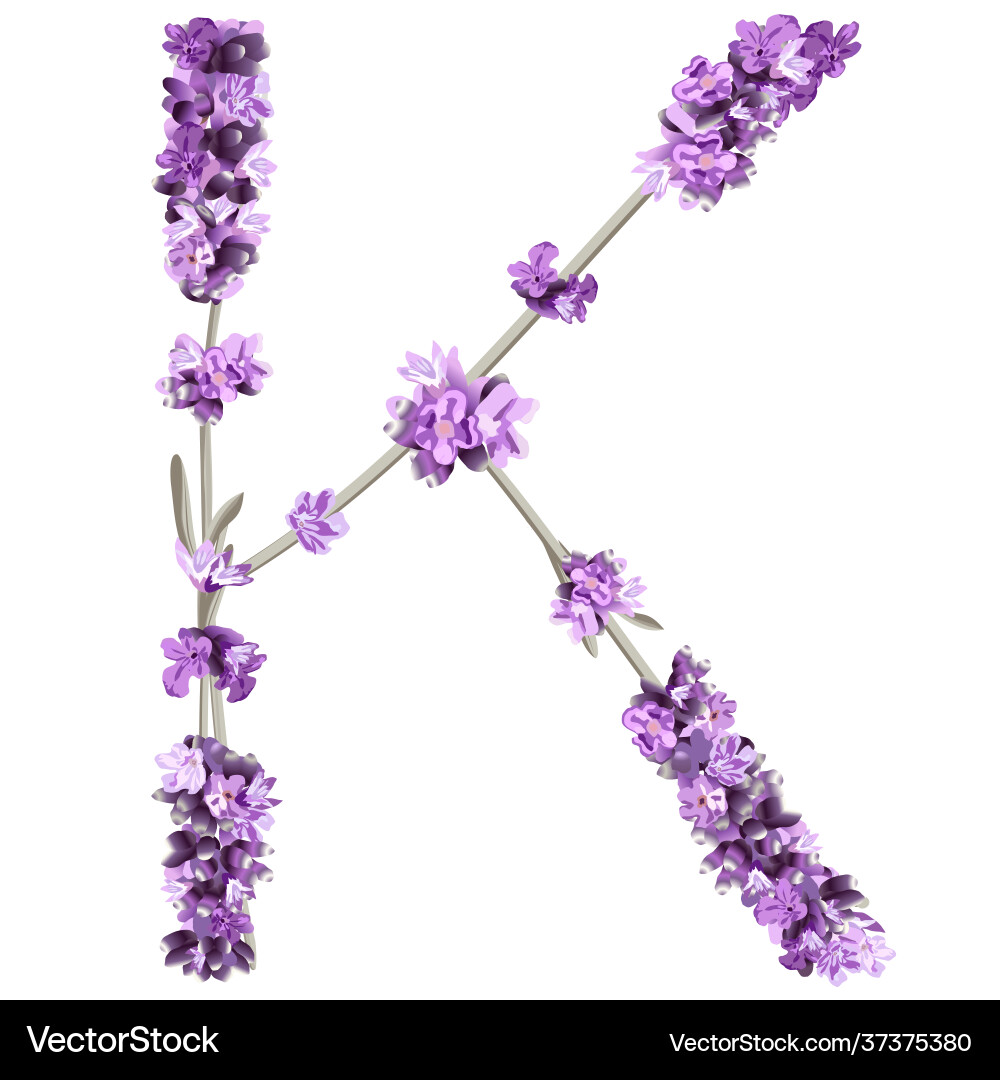 Image capital letter k english Royalty Free Vector Image