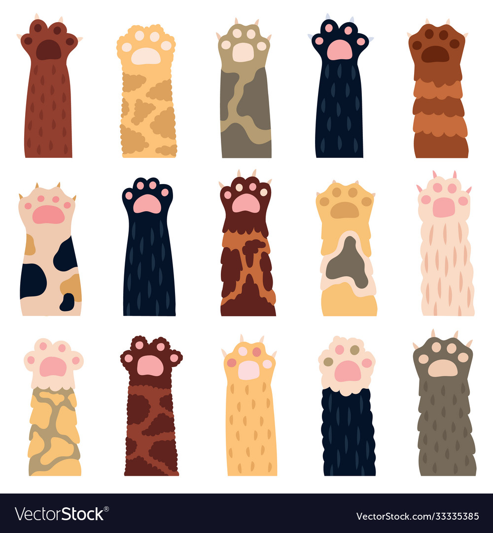 Cat paws cute kitty paw doodle funny domestic Vector Image