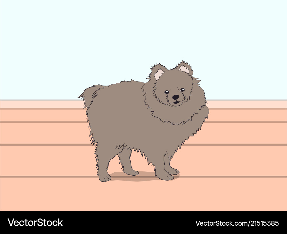 Dog in the room Royalty Free Vector Image - VectorStock