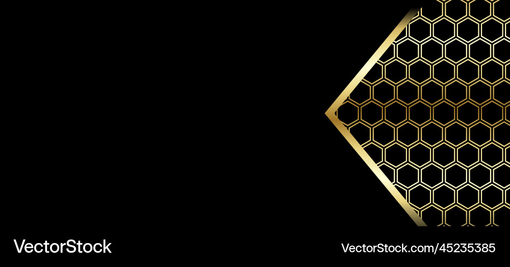 Golden black background design 301 wallpaper Vector Image
