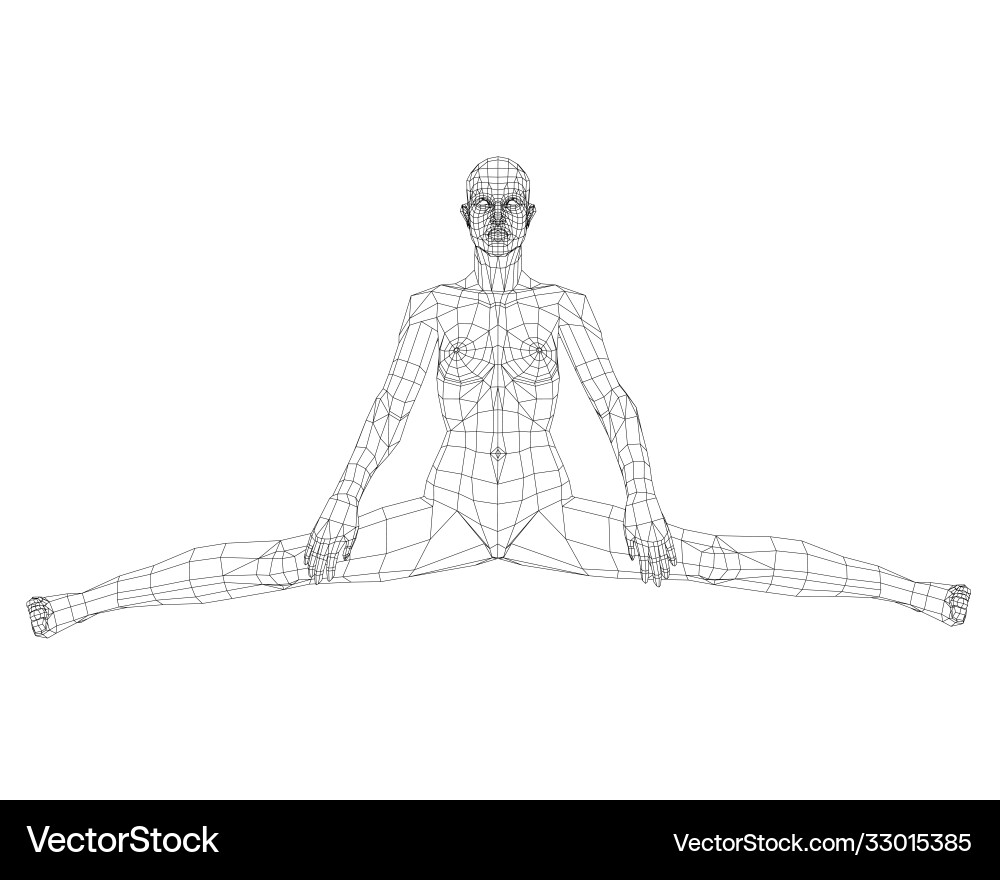 Low poly wireframe a girl sitting on twine Vector Image