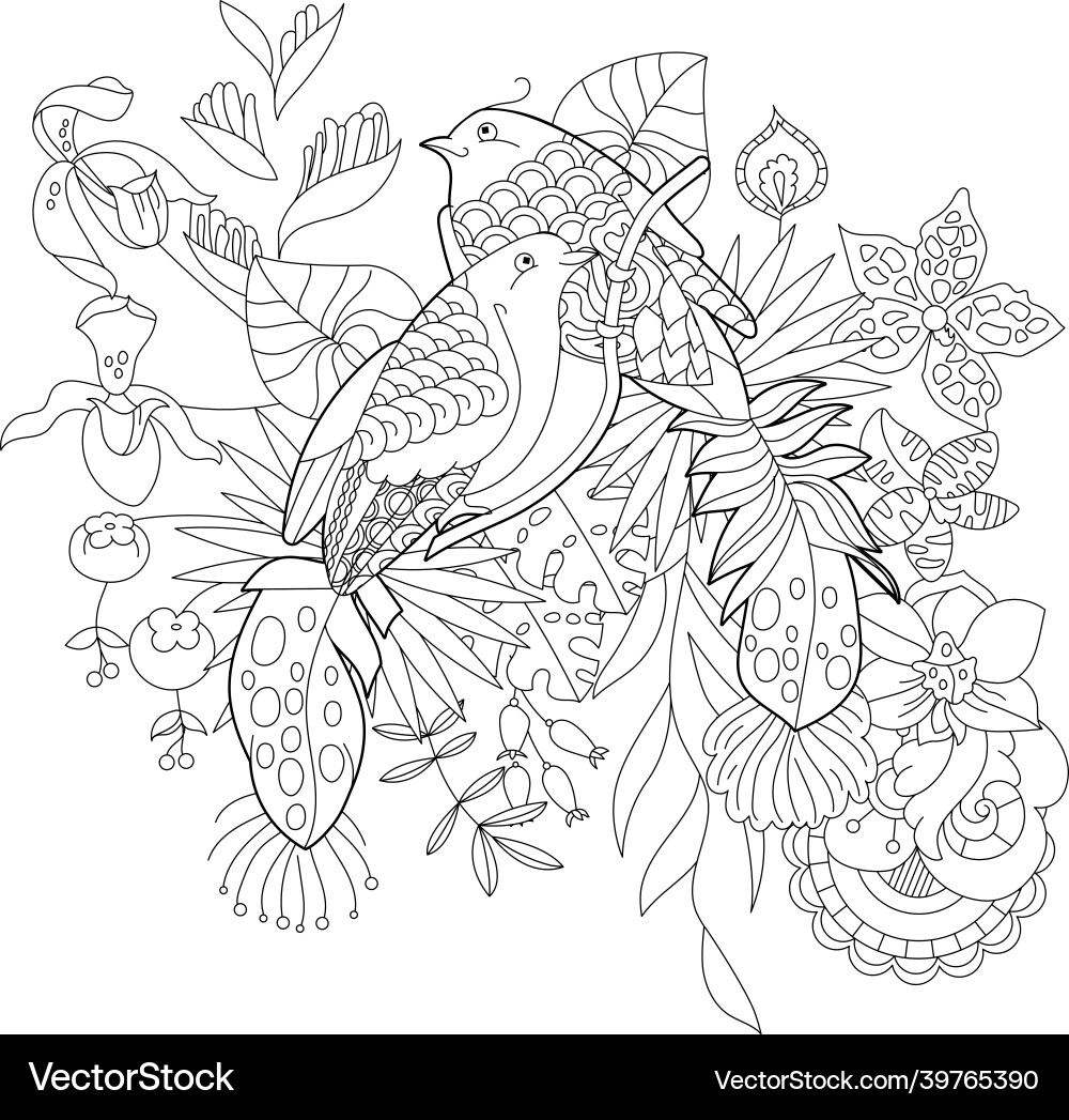 Contour linear for coloring book with paradise Vector Image