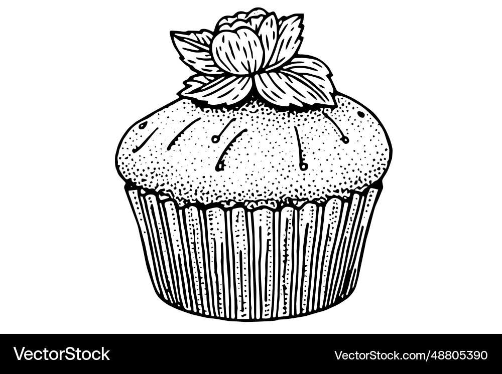 Cupcake hand drawn ink sketch engraved style Vector Image