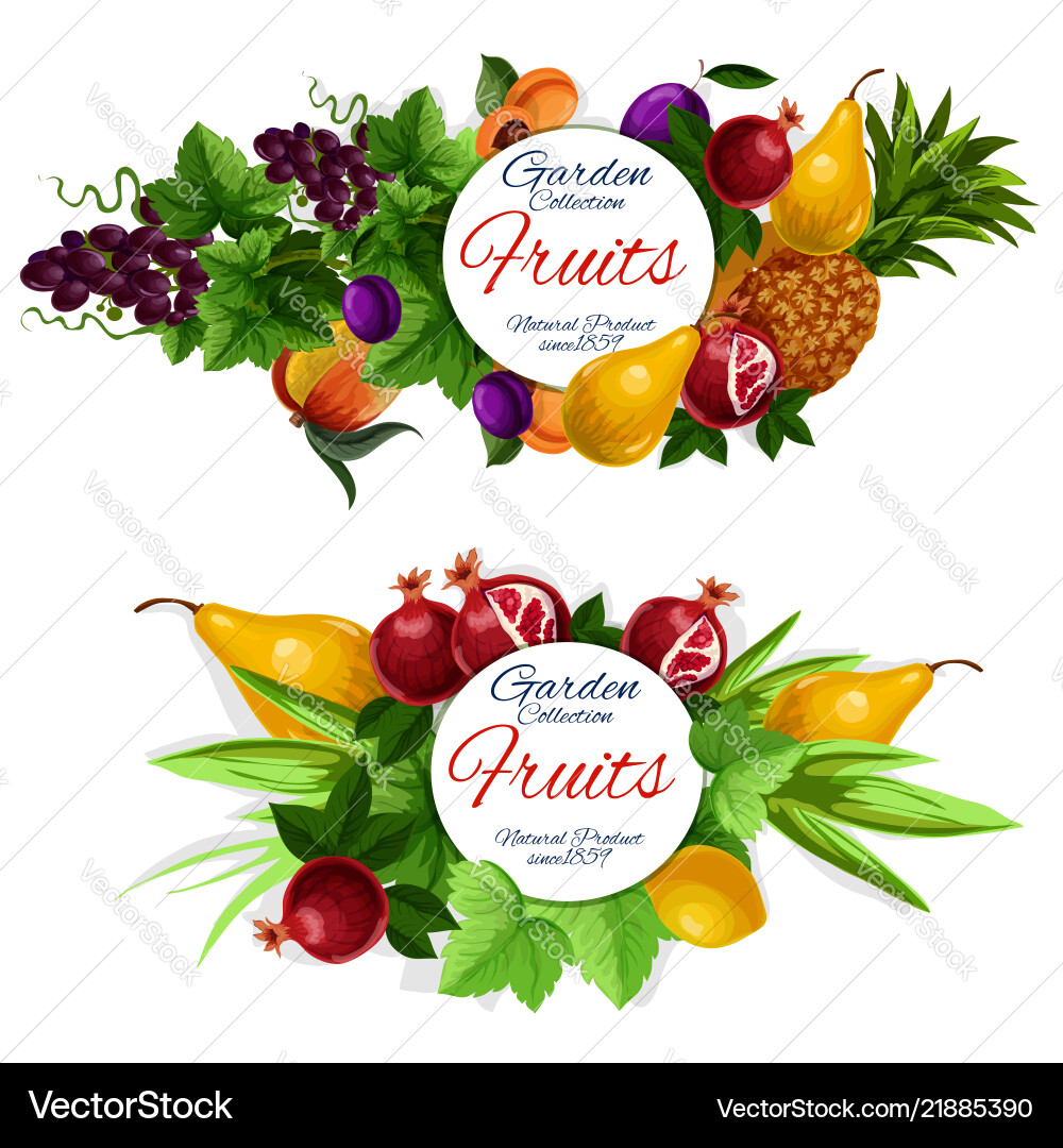Fruit and berry food labels Royalty Free Vector Image