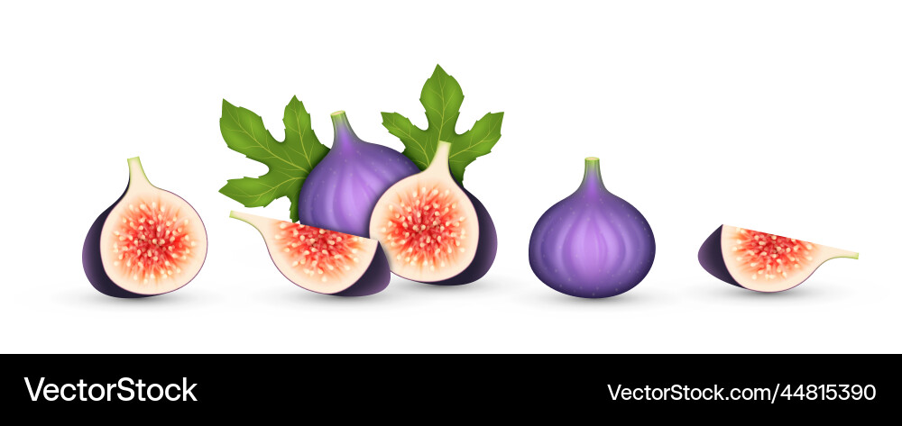 Realistic figs set fresh seasonal fruit whole Vector Image