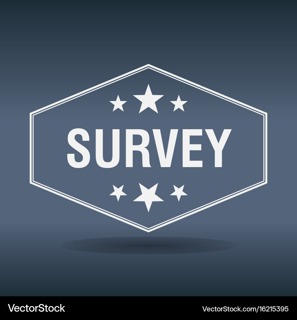 Survey hexagonal white vintage retro style label Vector Image