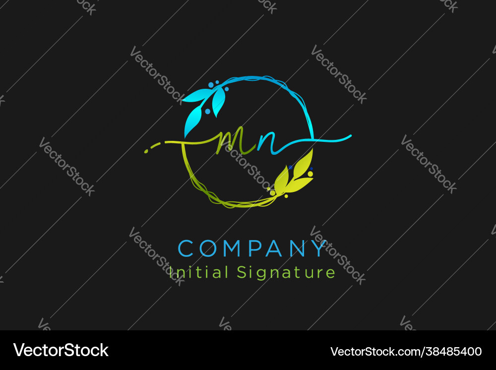 Initial m n beauty monogram and elegant logo Vector Image