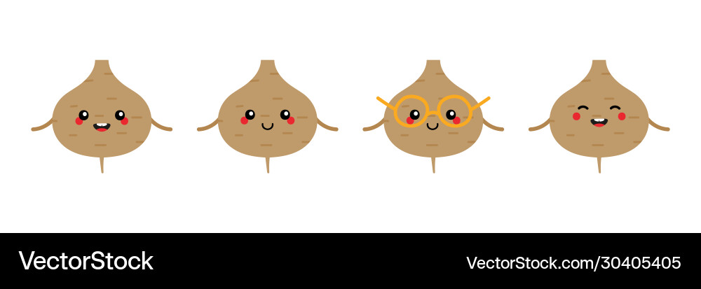 Cartoon style jicama vegetable characters Vector Image