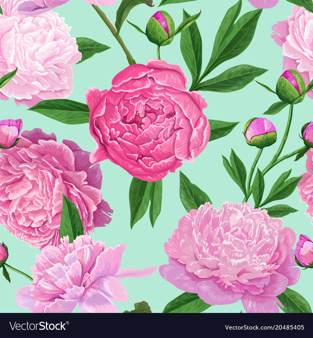 Floral seamless pattern with pink peony flowers Vector Image