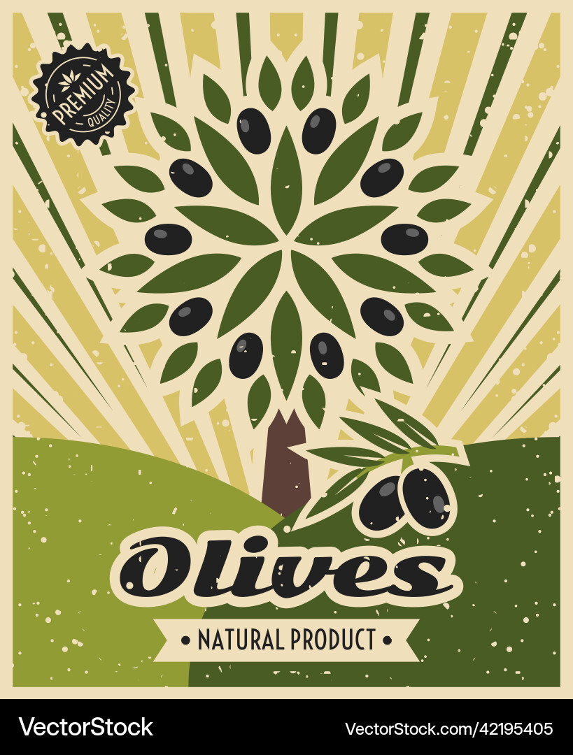 Vintage olive poster template design Royalty Free Vector