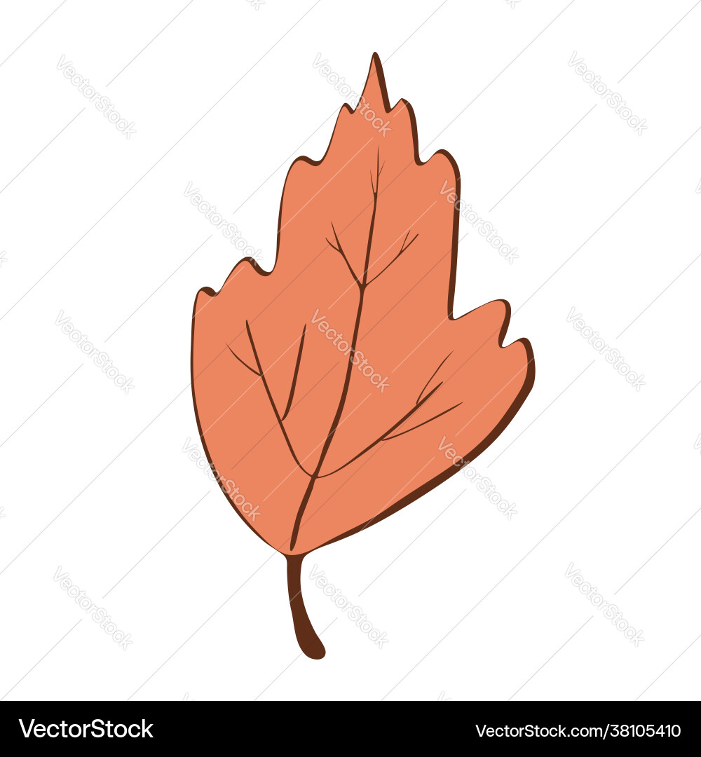 Hand drawn leaf orange colorful isolated on white Vector Image