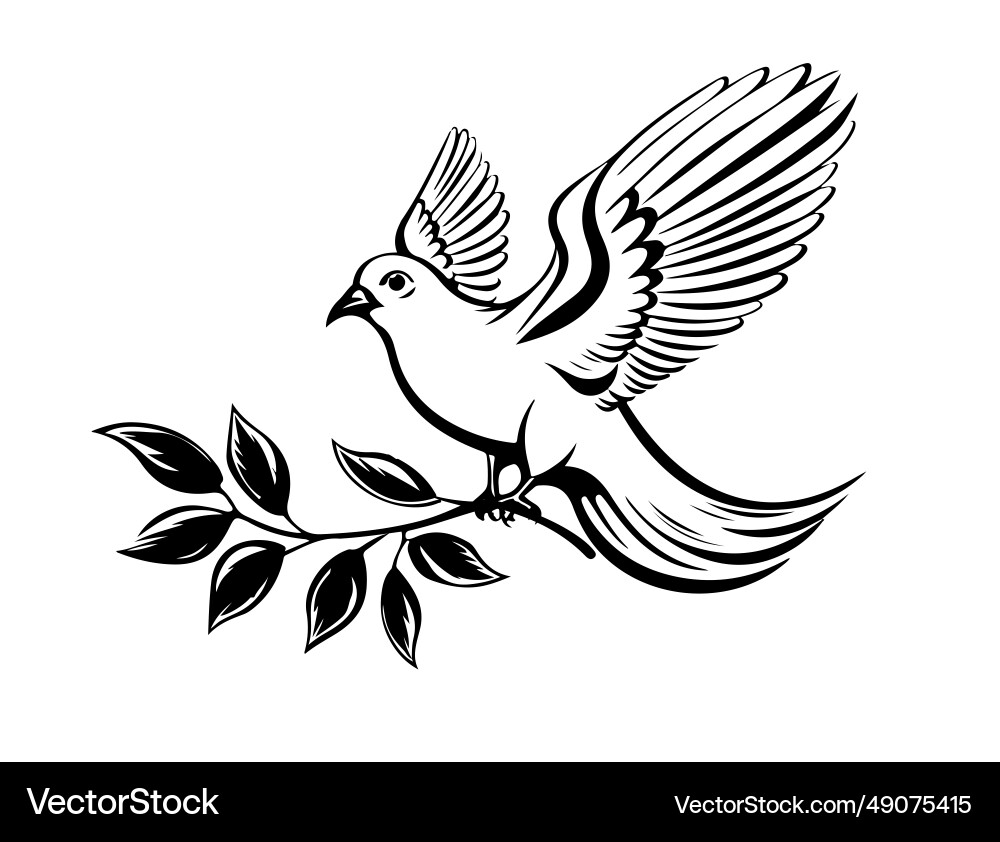 Dove sketch hand drawn birds Royalty Free Vector Image