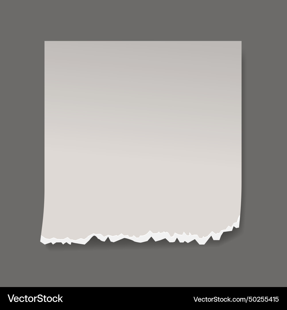 White torn or ripped paper sheet with edge Vector Image