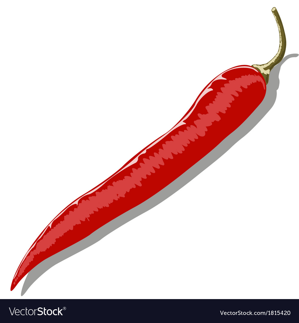 Pepper Royalty Free Vector Image - VectorStock