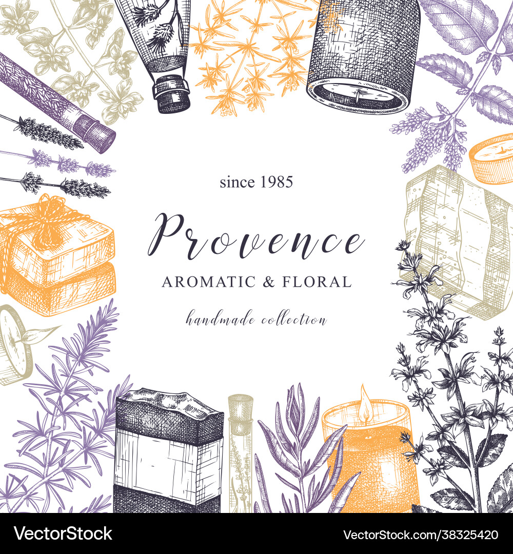 Provence herbs frame in color hand-sketched Vector Image