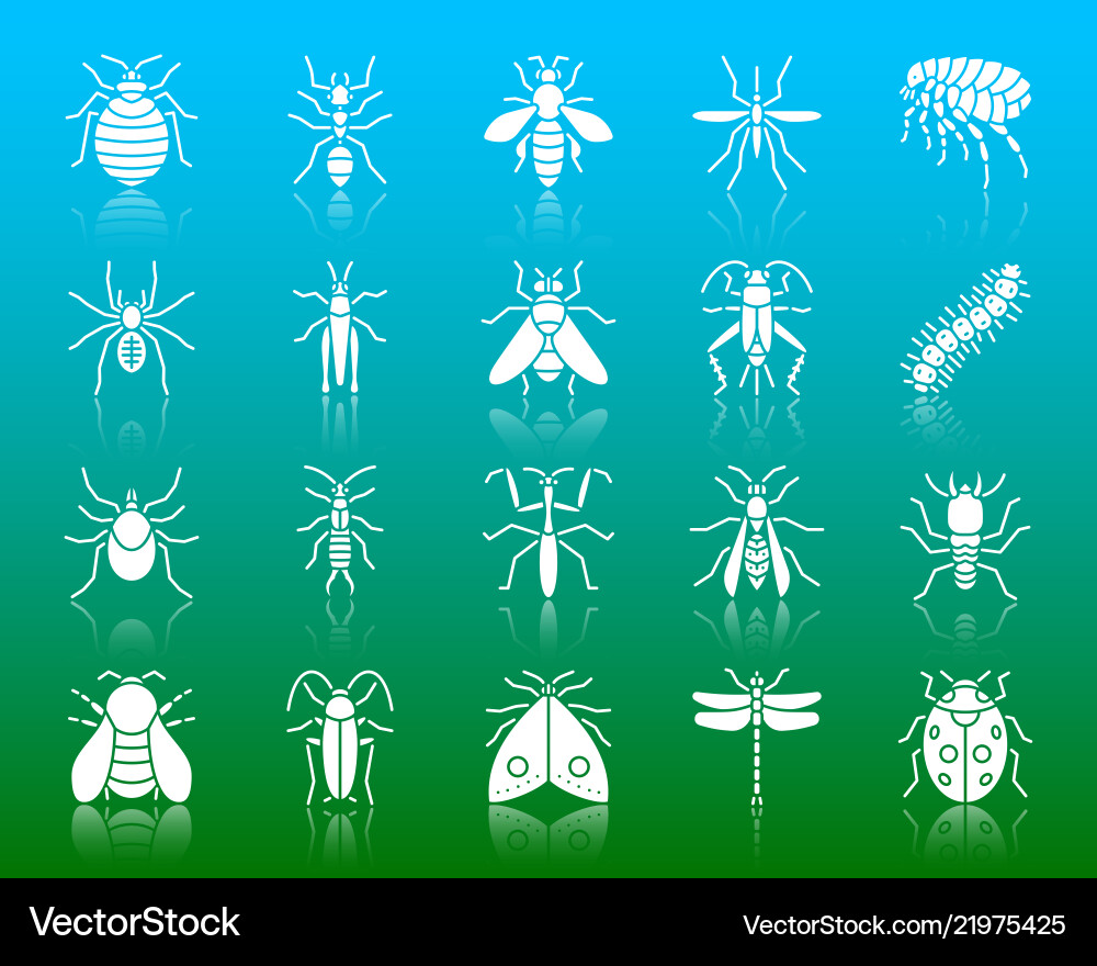 Danger insect white silhouette icons set Vector Image