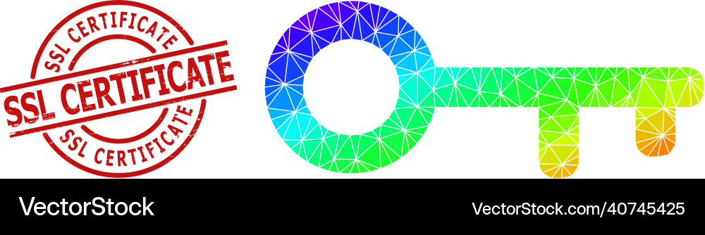 Grunge ssl certificate badge and lowpoly spectrum Vector Image
