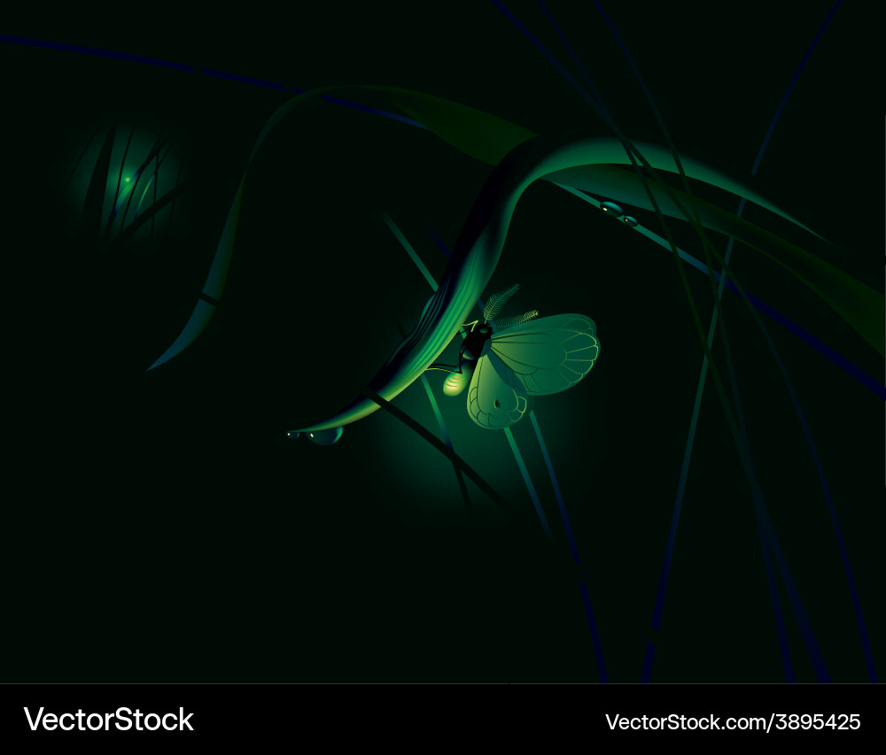 Moth at night Royalty Free Vector Image - VectorStock