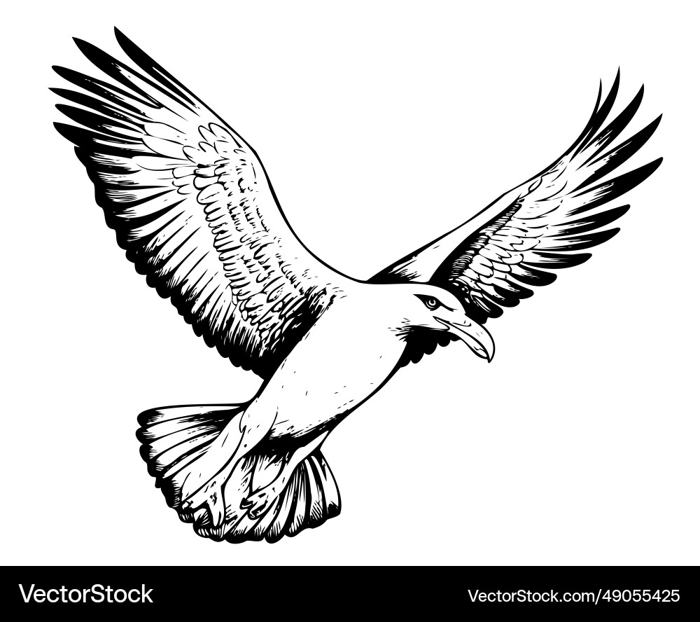Sea gull face sketch hand drawn Royalty Free Vector Image