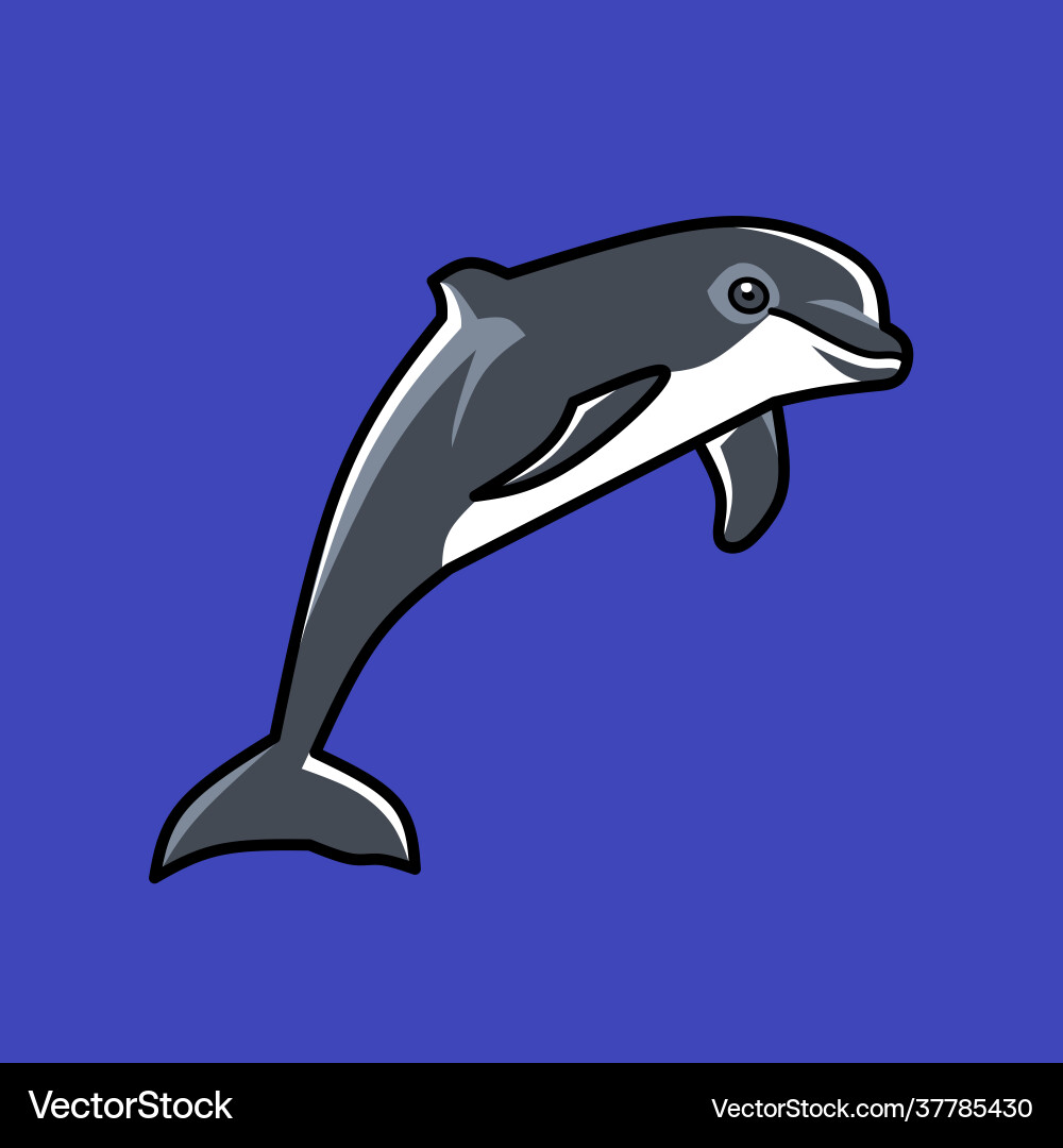 Dolphin is common name aquatic mammals Royalty Free Vector