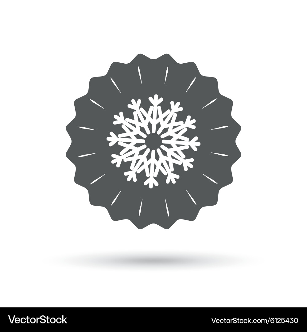 Snowflake artistic sign icon air conditioning Vector Image