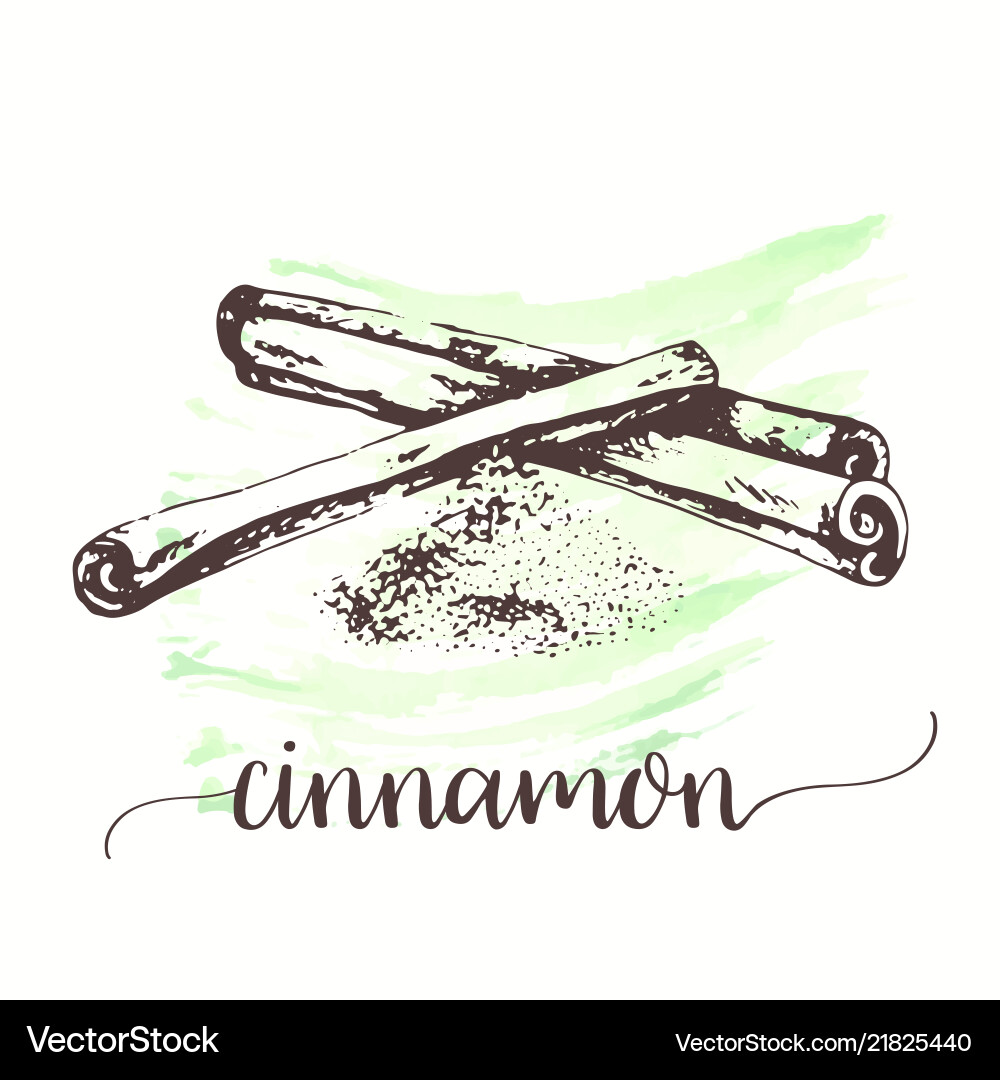 Hand drawn sketch style cinnamon stick on Vector Image