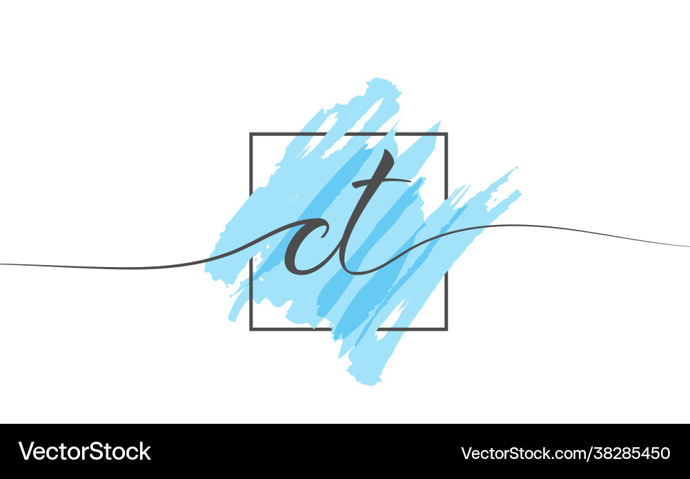 Calligraphic lowercase letters ct in a single Vector Image