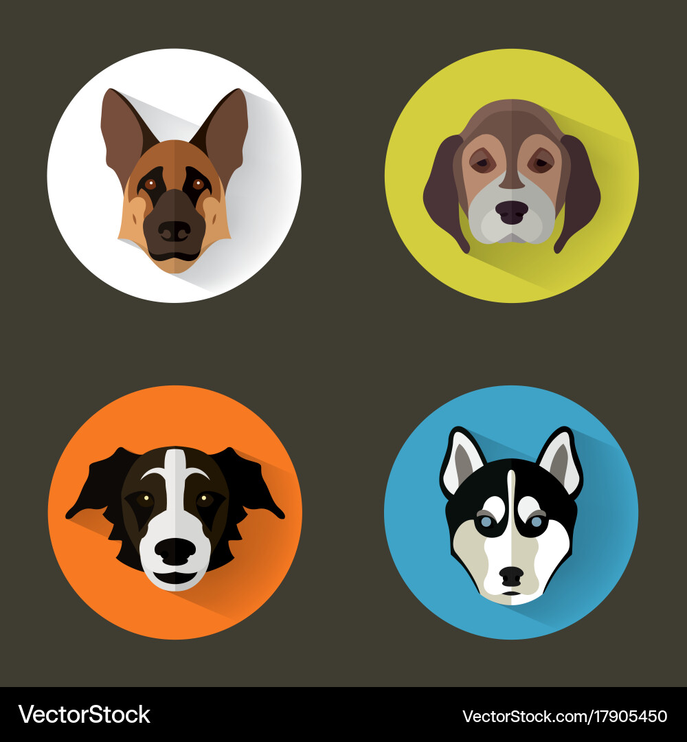 Dog portraits with flat design Royalty Free Vector Image