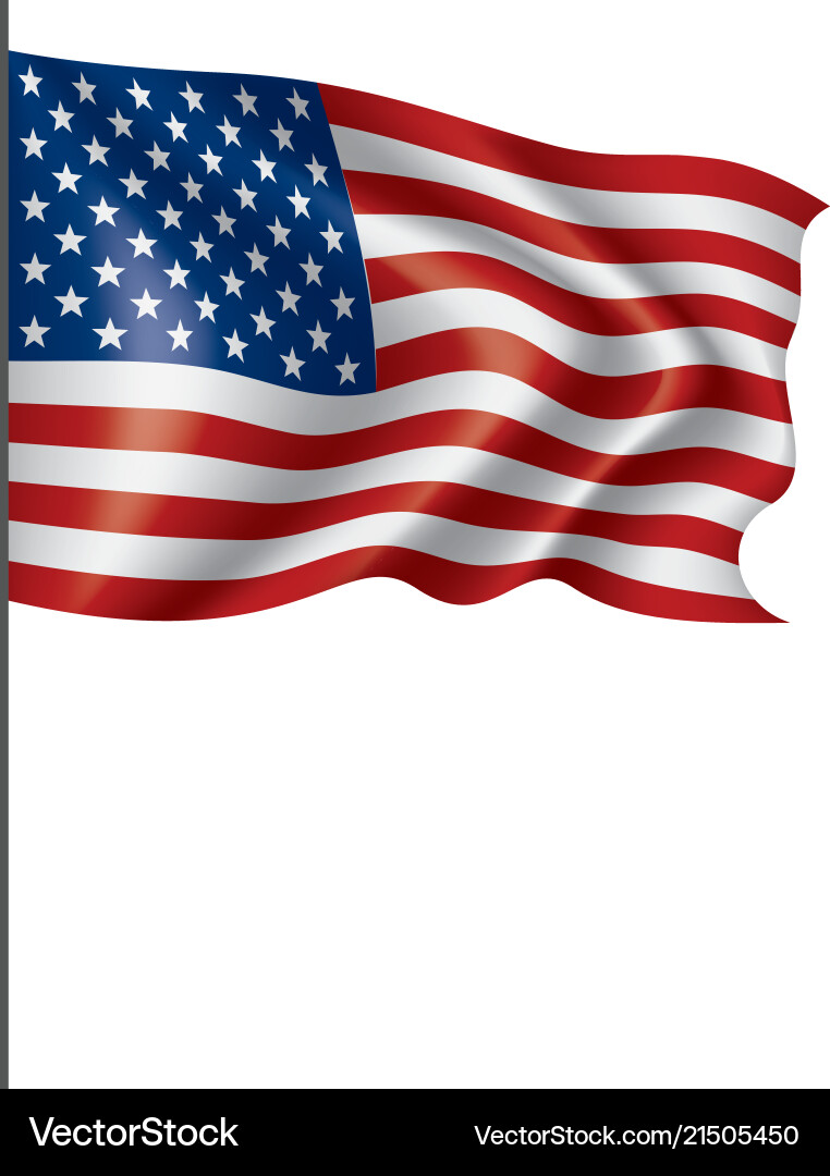 Usa flag isolated Royalty Free Vector Image - VectorStock