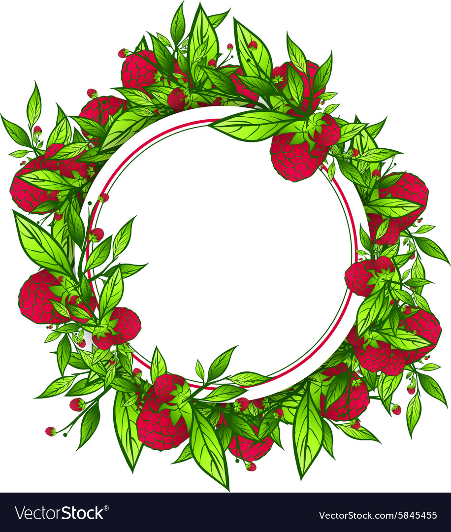 Raspberry Empty Round Frame Royalty Free Vector Image