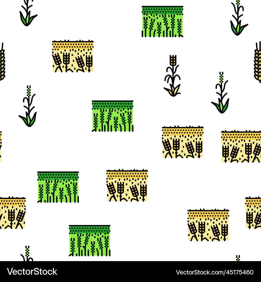 Barley cereal grain harvest seamless Royalty Free Vector