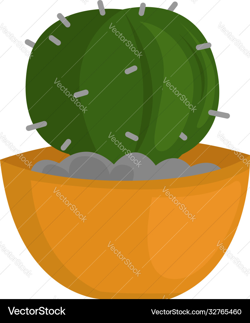 Cactus in orange pot on white background Vector Image