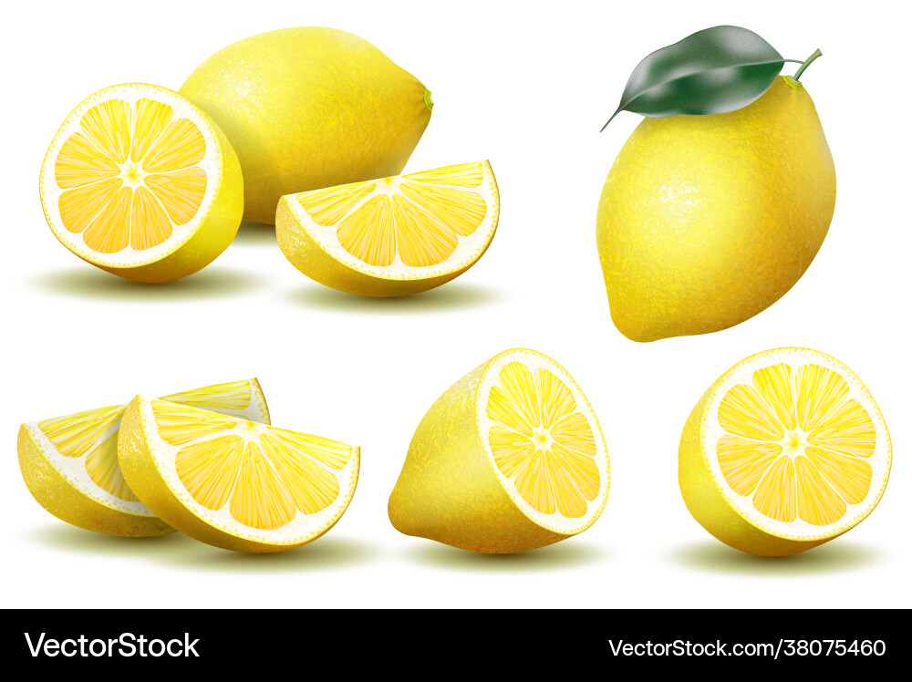 Lemon realistic with green leaf whole Royalty Free Vector