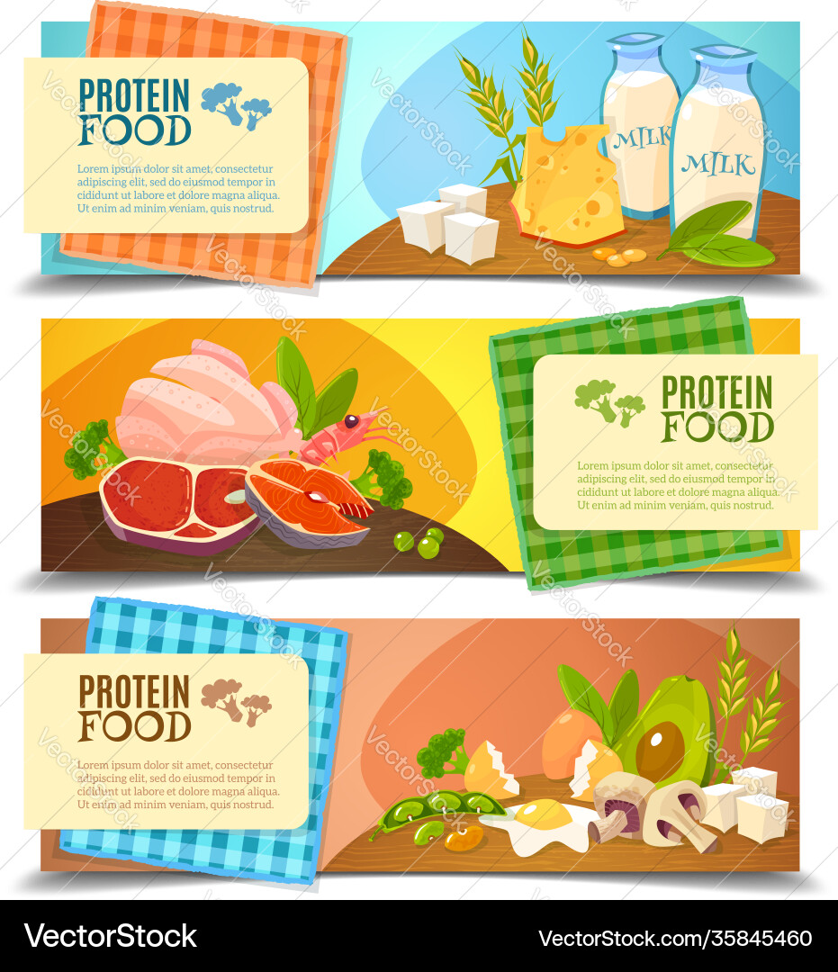 Protein food flat horizontal banners set Vector Image