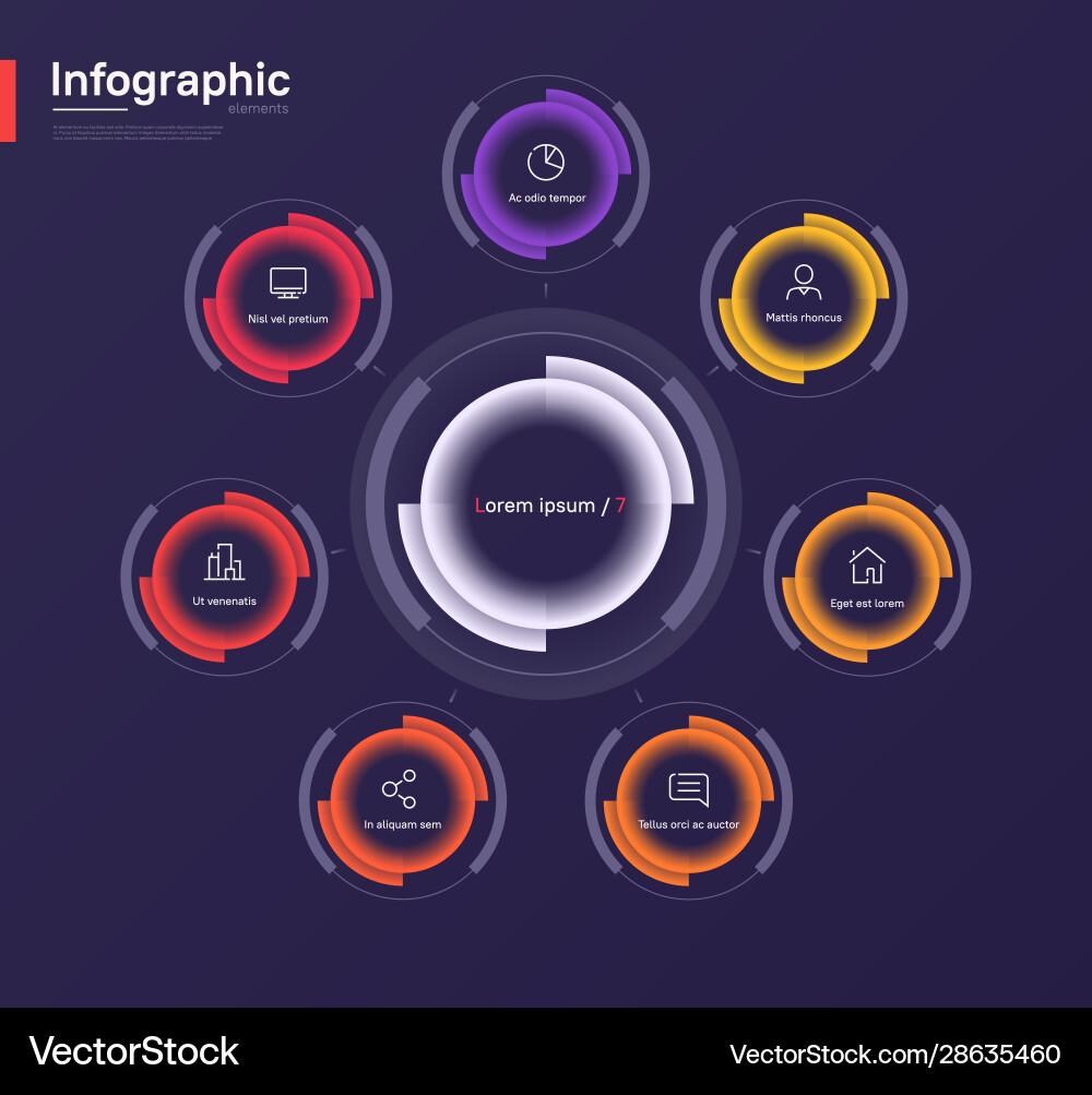 Stylish colorful infographic circle chart Vector Image