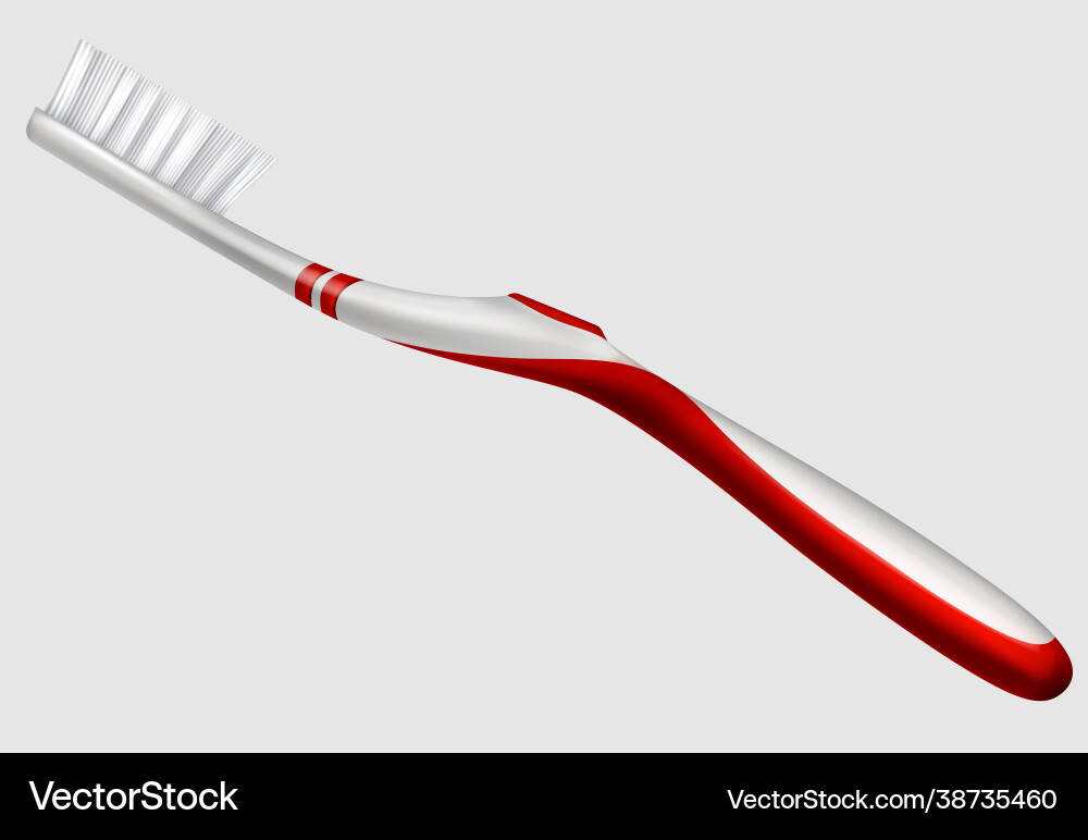 Tooth brush isolated on a white background eps Vector Image